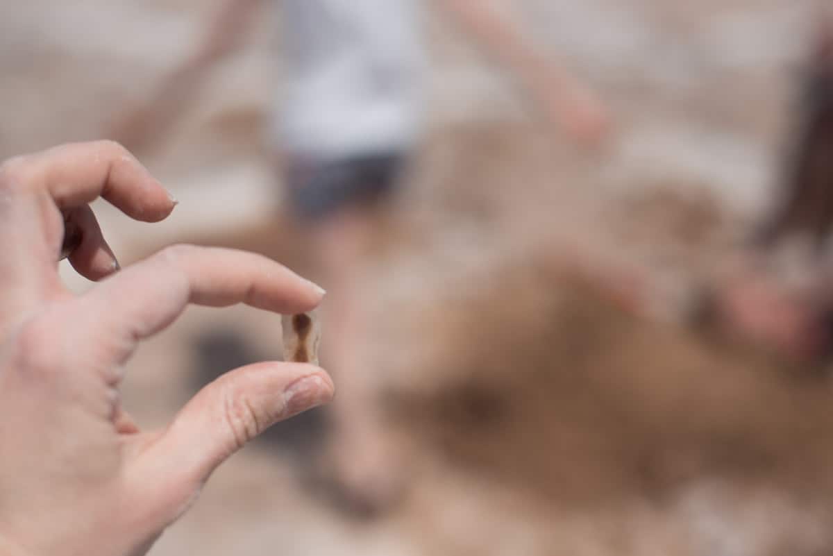 Crystal Digging in Oklahoma at the Salt Plains (By An Oklahoman)