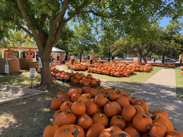 Pumpkin Patches in Oklahoma City: Top 13 Spots for Fall Fun - Naturally ...
