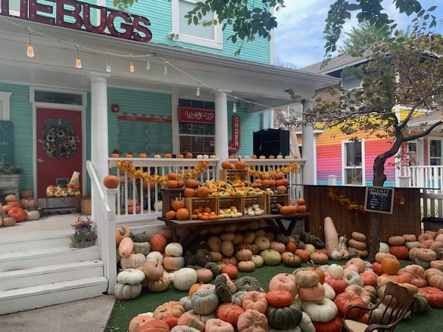 Pumpkin Patches in Oklahoma City: Top 13 Spots for Fall Fun - Naturally ...