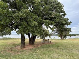Ultimate Guide to Lake Stanley Draper